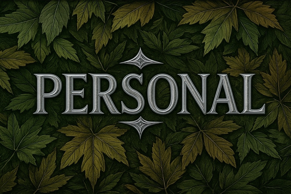 Купить SILVERHOP 20509 Personal для страйкбола по цене 4 000 pуб | SIL ...